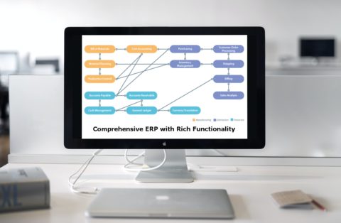 The Anatomy of a Great Low-Code Platform | LANSA